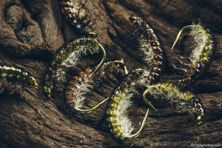 Oliver Edwards Hydropsyche Caddis Larvae Variation – Fly Tying Archive