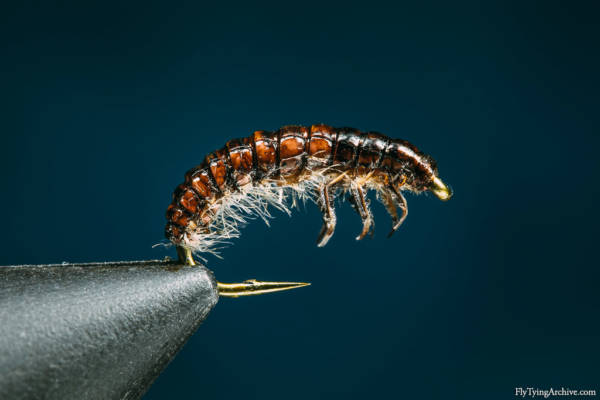 Oliver Edwards Hydropsyche Caddis Larvae Variation – Fly Tying Archive
