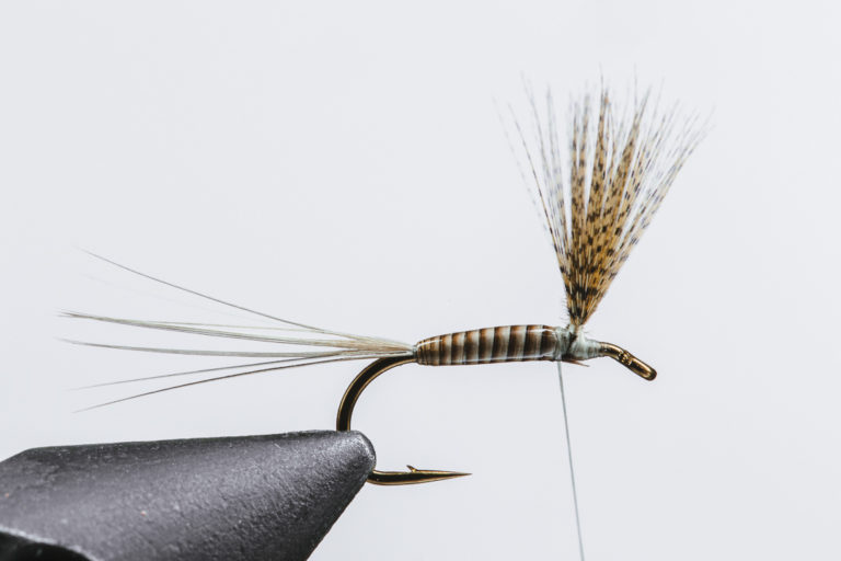 Quill Gordon – Fly Tying Archive